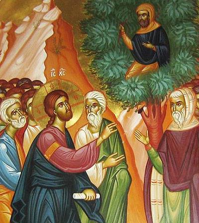 The Sunday of Zacchaeus - St. Michael the Archangel Ukrainian Catholic ...